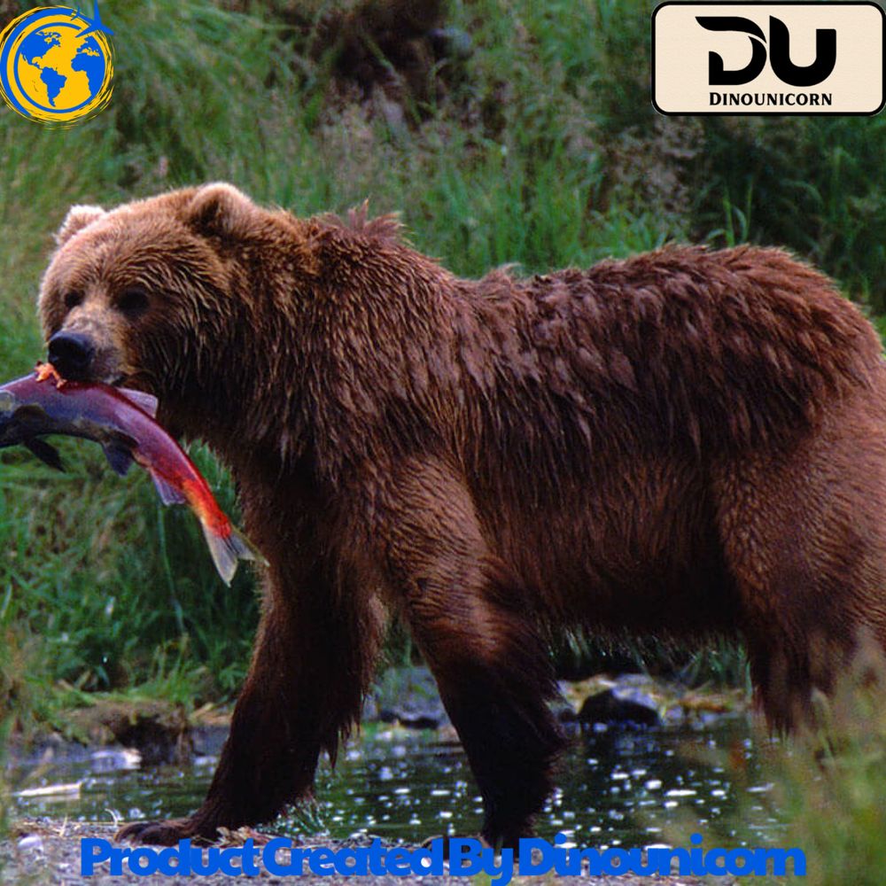 What Do Bears Eat? - Dinounicorn