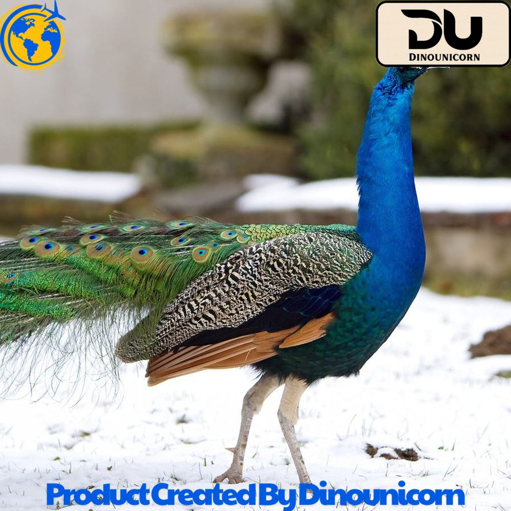 What Do Peacocks Eat? - Dinounicorn