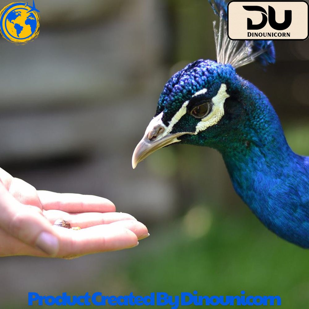 What Do Peacocks Eat? - Dinounicorn