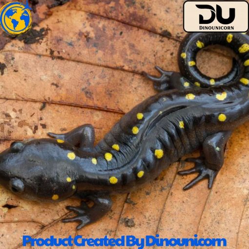 What Do Salamanders Eat? - Dinounicorn