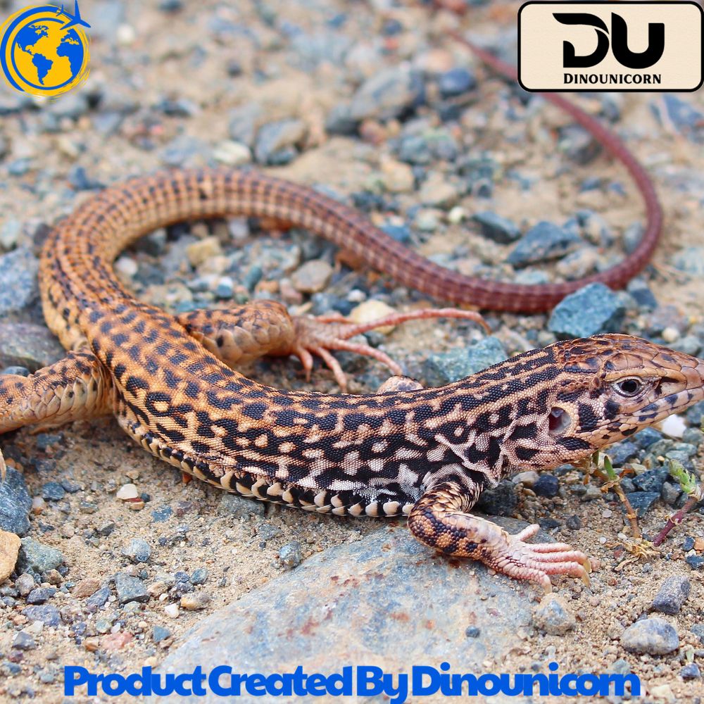 Life Cycle of the Whiptail Lizard - Dinounicorn