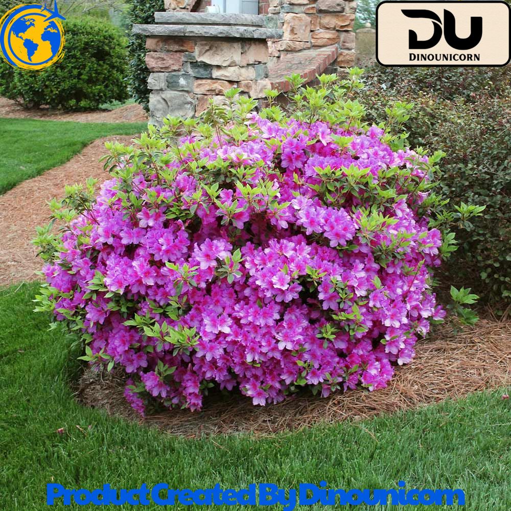 What is the Size of an Azalea? - Dinounicorn